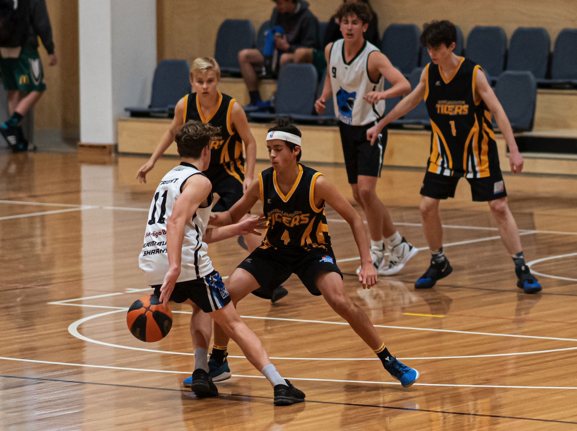 Latest News on the Shoalhaven Basketball Blog | Shoalhaven Basketball ...
