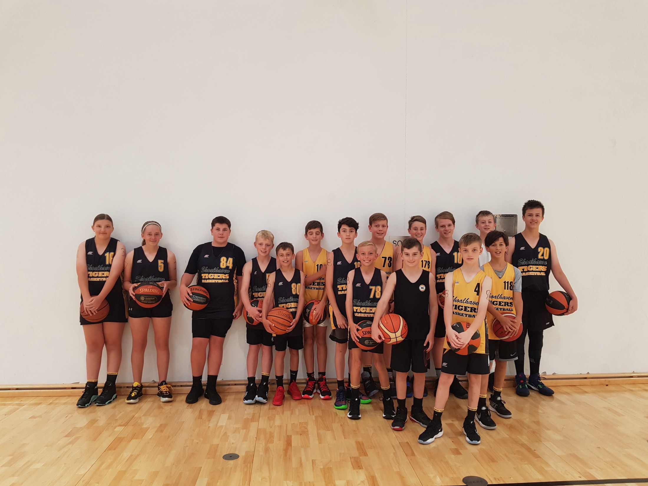 Strategic Planning Timeline - Shoalhaven Basketball Association ...