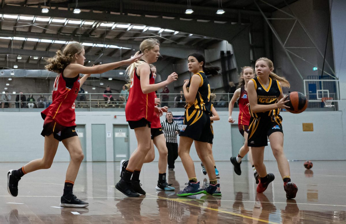Basketball for Kids aged 5-18 | Shoalhaven Junior Basketball ...